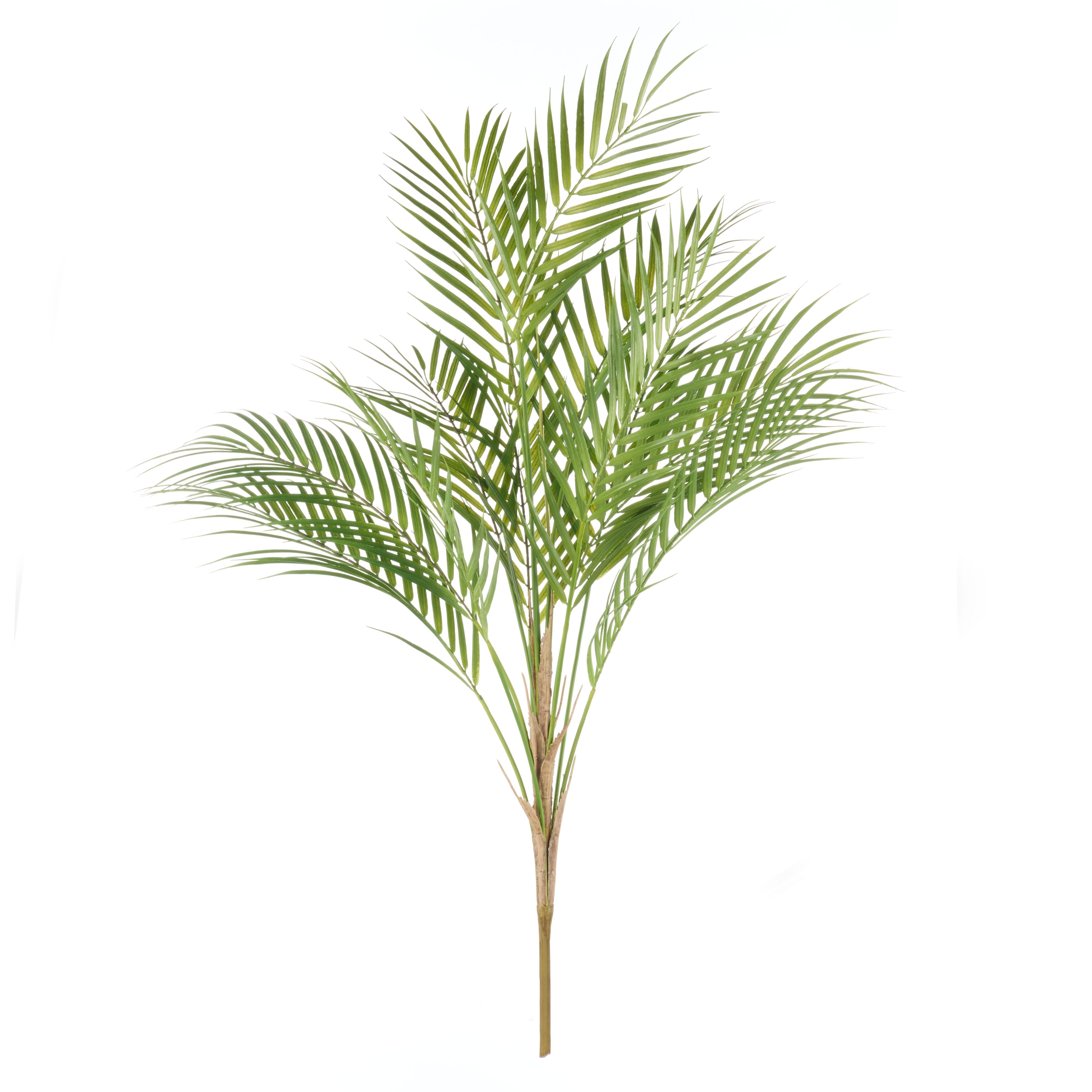 Phoenix Palm 50x50x90cm – Habitania